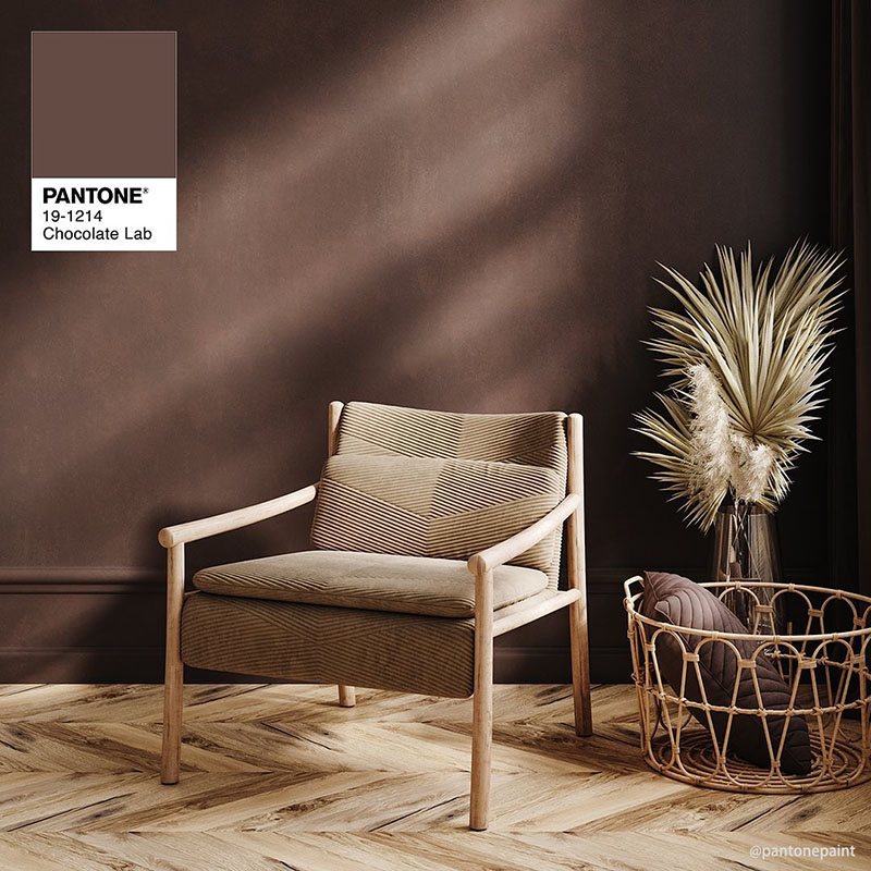 探索PANTONE棕色系色彩搭配：打造独特个人风格 - 千通彩色彩管理官网